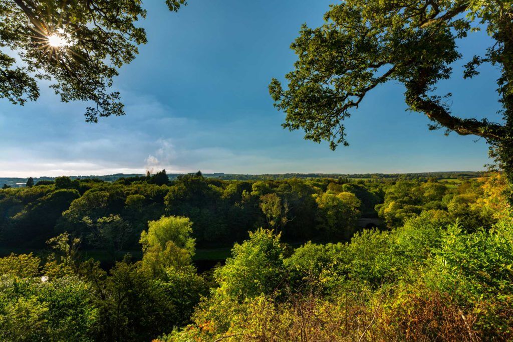 3 Great Reasons to Visit Castlecomer Discovery Park this Weekend ...