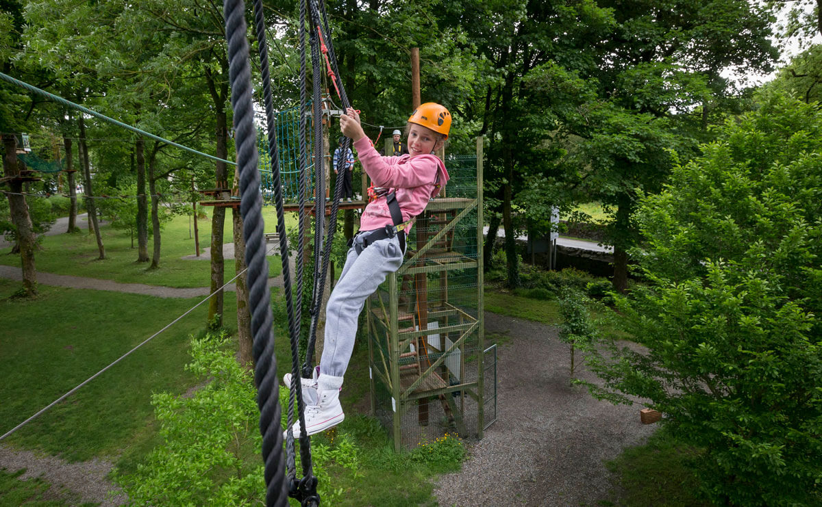 3 Great Reasons to Visit Castlecomer Discovery Park this Weekend ...