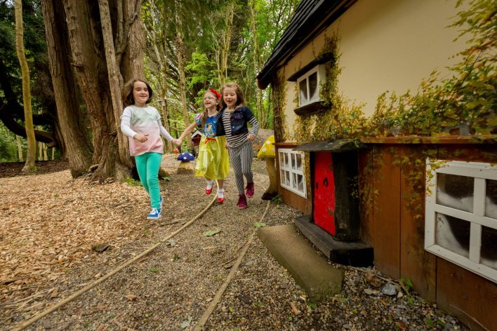 Castlecomer Discovery Park, Not-for-Profit Outdoor Park in Kilkenny