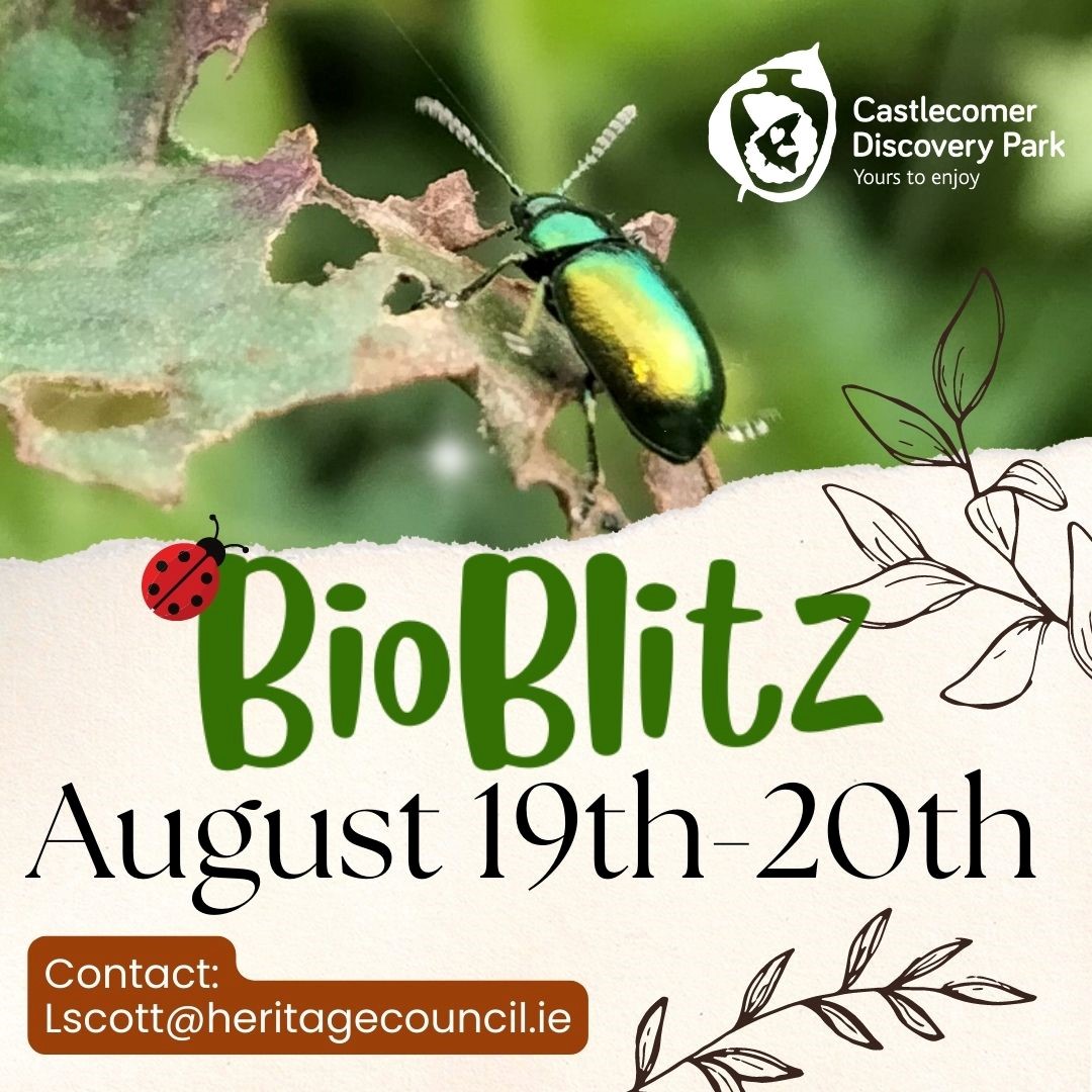 Bio Blitz at Castlecomer Discovery Park - Castlecomer Discovery Park ...