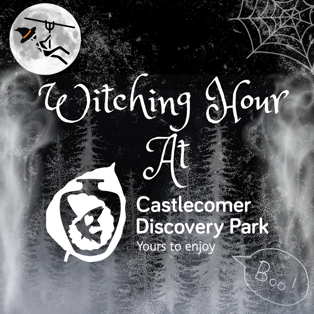 Witching Hour at Castlecomer Discovery Park - Castlecomer Discovery ...