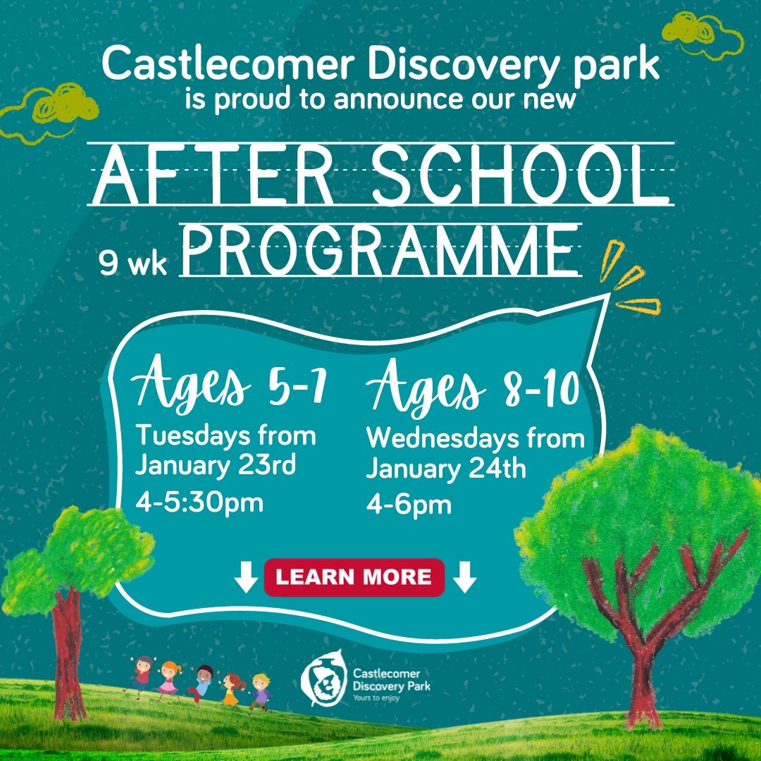Exciting After School Adventures at Castlecomer Discovery Park ...