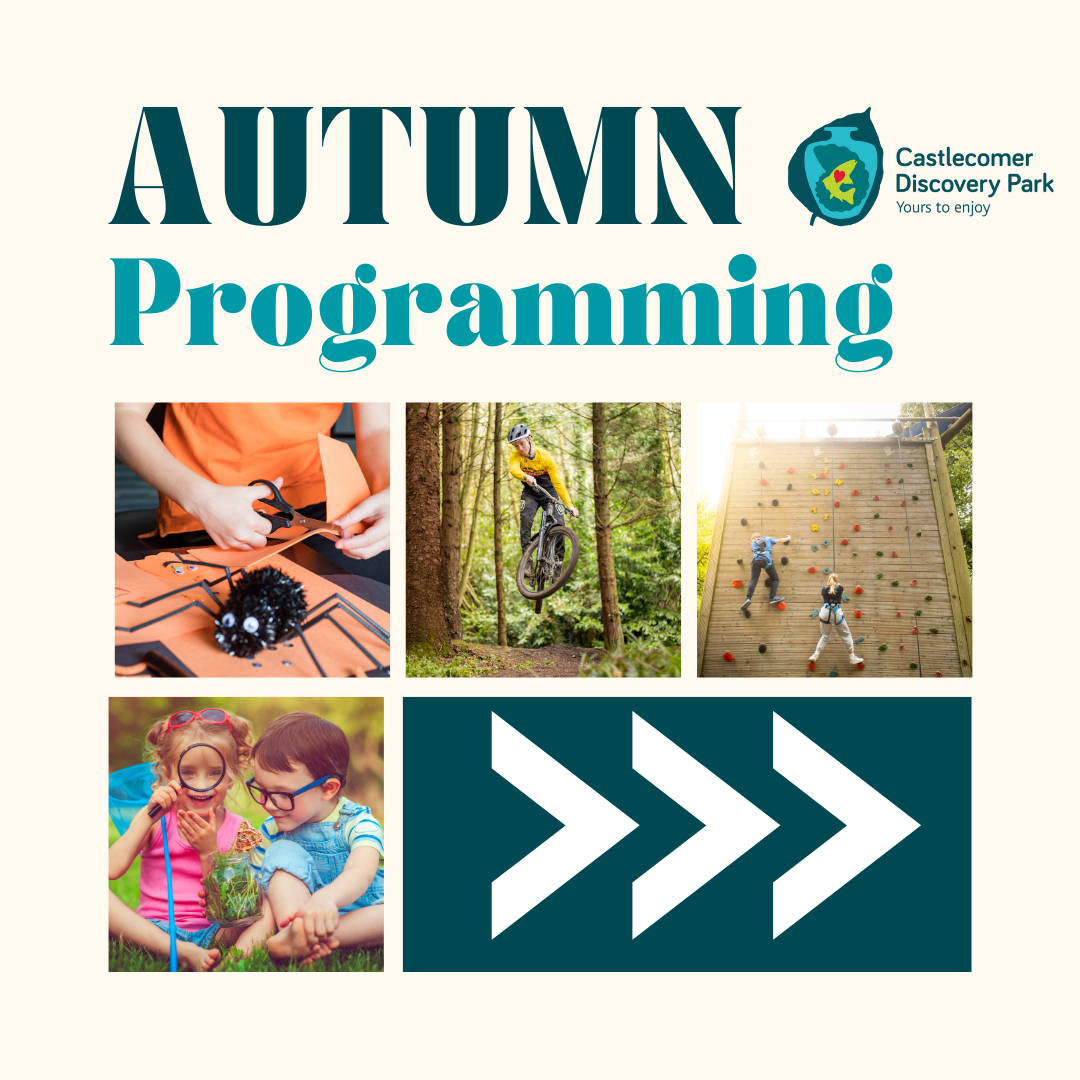 Autumn Programming - Castlecomer Discovery Park, Kilkenny, Santa Train ...