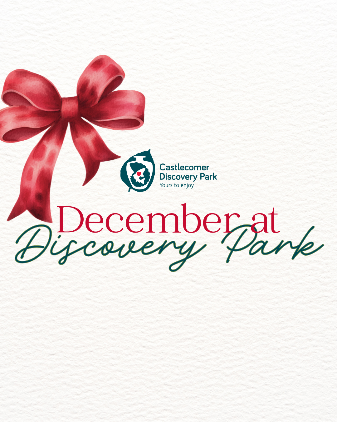 December at Castlecomer Discovery Park - Castlecomer Discovery Park ...